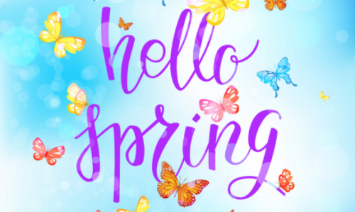 St. Elizabeth Seton Catholic Elementary School | Burlington, ON ...